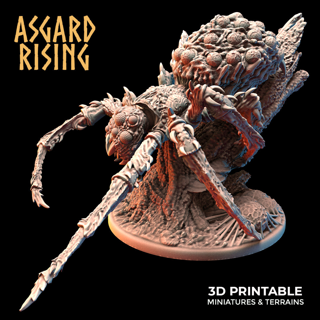 Nightmare Spider - Asgard Rising – HammerLine